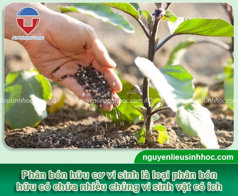 Phân hữu cơ vi sinh AQ52 Nutri chính hãng, giá tốt