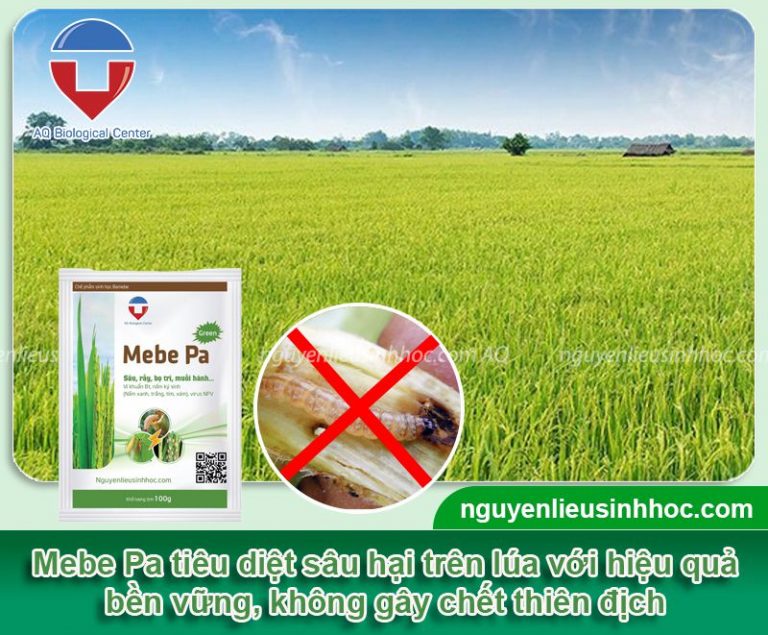 Thuốc trừ sâu hại lúa Mebe Pa hiệu quả vượt trội, an toàn