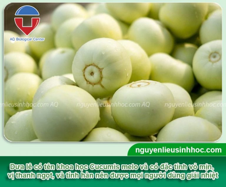 Cách nhận biết dưa lê chín ngon ngọt, không hóa chất khi mua