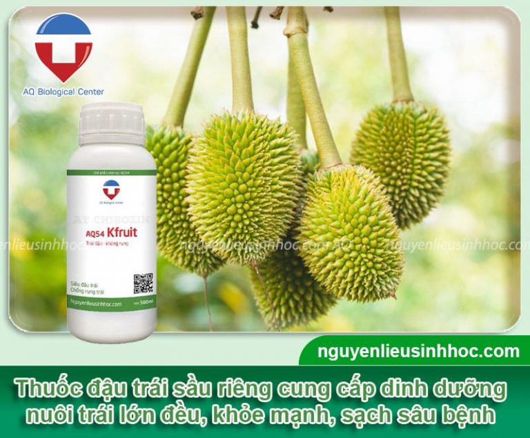 Thuốc đậu trái sầu riêng chống rụng trái, lớn trái - Kfruit