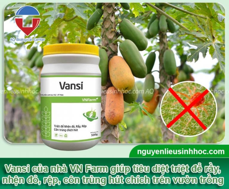 TOP 5 thuốc trị côn trùng chích hút hiệu quả nhất hiện nay