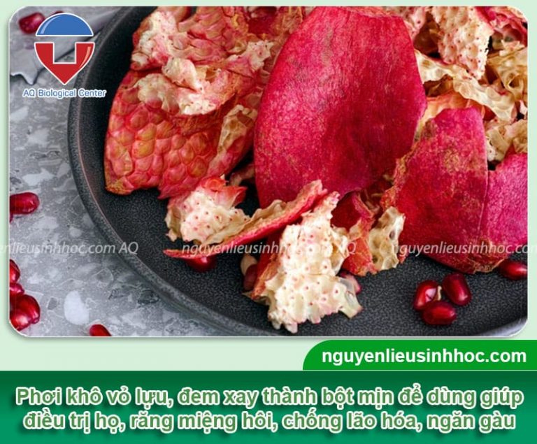 Quả lựu có tác dụng gì đối với sức khỏe và những điều lưu ý