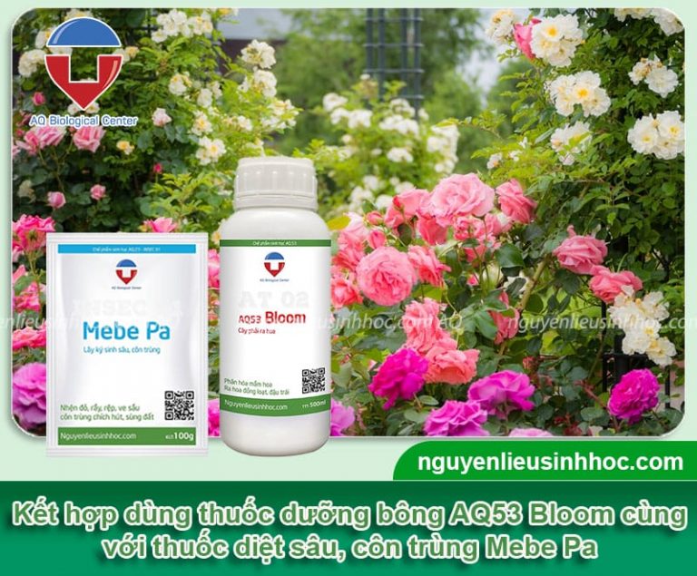 Thuốc dưỡng hoa Bloom giúp hoa nở rực rỡ, tươi lâu