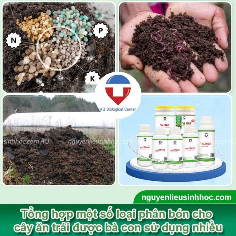 Quy trình kỹ thuật bón phân cho cây ăn trái từng giai đoạn