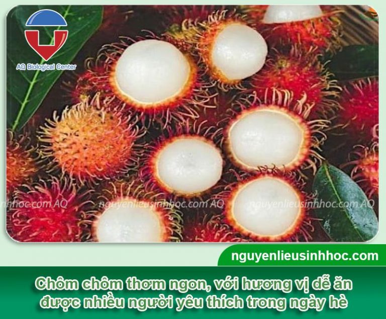 Chôm chôm có nóng không? Những lưu ý khi ăn chôm chôm