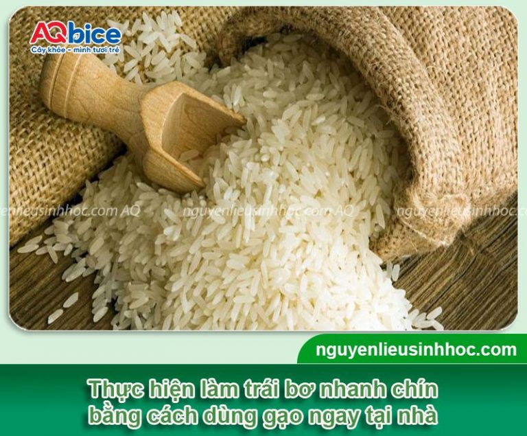 Cách làm trái bơ mau chín tự nhiên, không dùng hóa chất